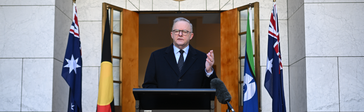 Albanese bows to migration pressure as One Nation soars | The Saturday ...
