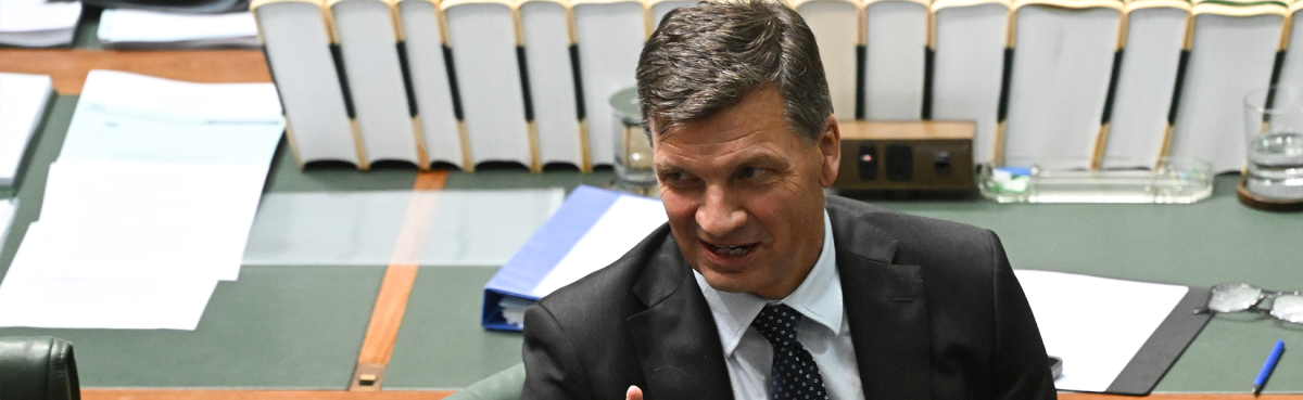 Taylor rejects One Nation seat deal | The Saturday Paper
