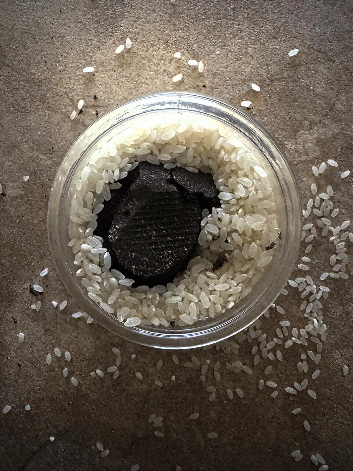 Truffle risotto | The Saturday Paper