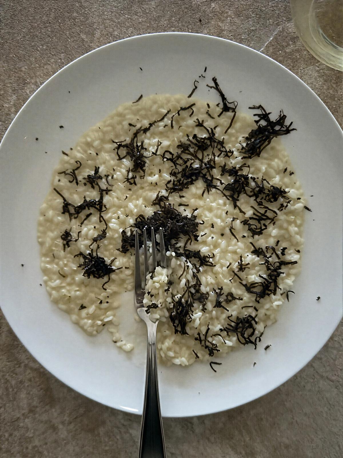 Truffle risotto | The Saturday Paper