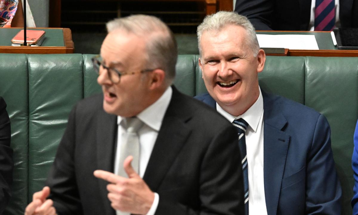 Labor on top in polls with tax and IR wins | The Saturday Paper