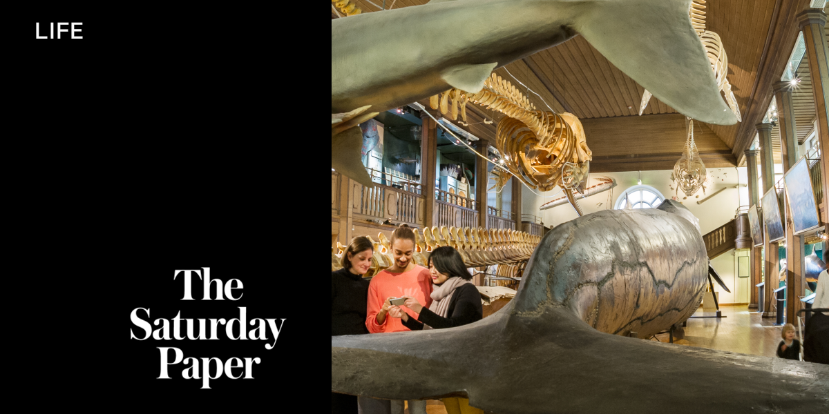 Gothenburg’s Malm Whale | The Saturday Paper