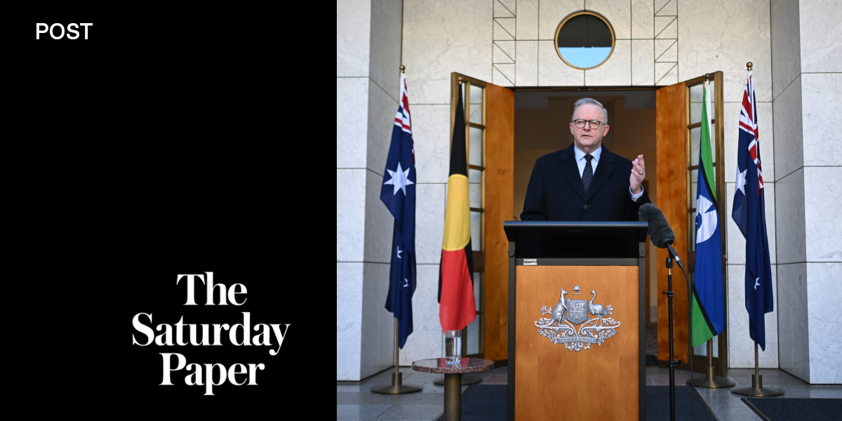 Albanese bows to migration pressure as One Nation soars | The Saturday ...