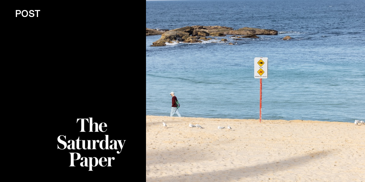 Drone ban lifted after Sydney shark attack | The Saturday Paper